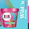 Baskin Robbins Wild n Reckless Sherbet 14 fl oz Green Apple Blue ...