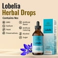 HERBAMAMA Organic Lobelia Liquid Extract Supplement for Lung Health, 4 ...
