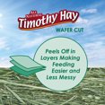 Kaytee Wafer Cut Hay 60 Ounces - Walmart.com