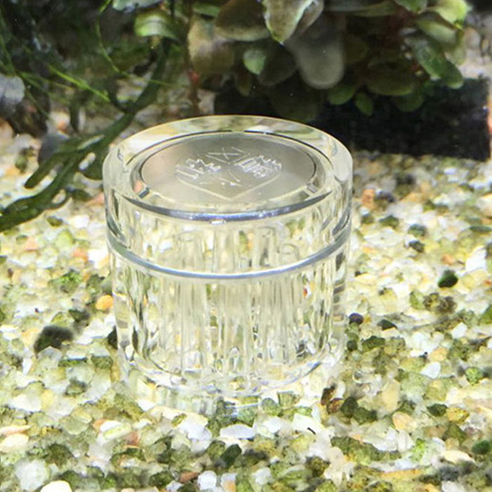 Buy HeroNeo Leech-Trap for Aquarium 8 Holes Transparent Acrylic Mini ...