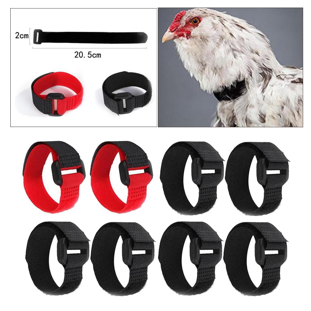 Collar Gallo Anti Cuervo Salvador 8 Piezas | Bodega Aurrera en línea