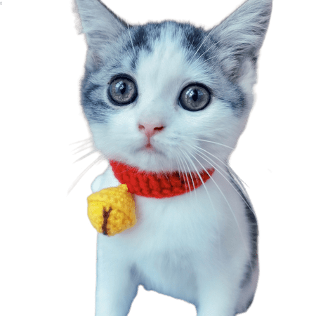 Bells for Cats and Dogs,Silent Bells of Pure Handmade Wool,Hand-Knitted ...