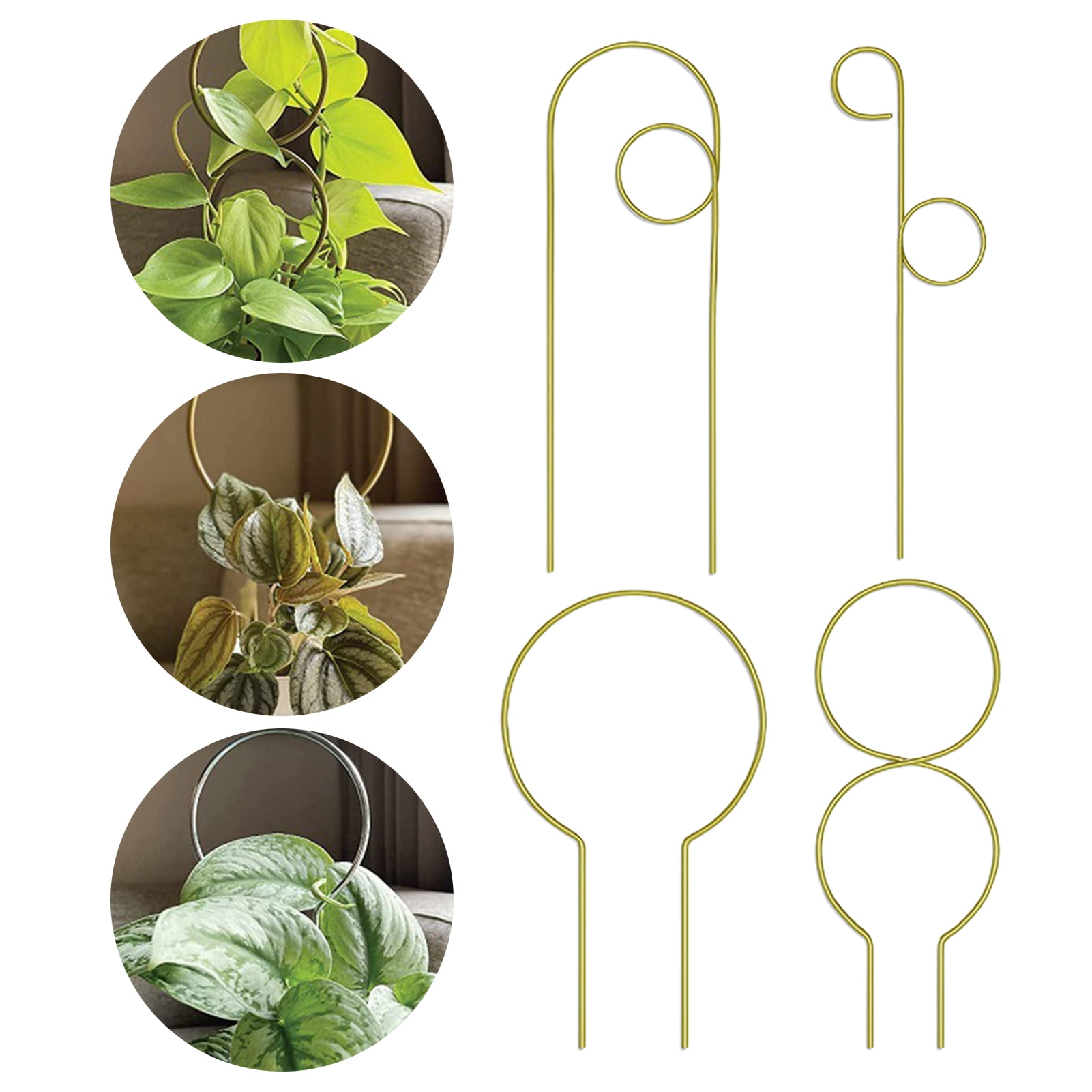 Plant Stakes for Flowers, Metal Potted Plant Support, Garden Plant ...