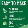 Jell-O Play Monster Slime Kit with 100% Edible Lime Gelatin Mix, 14.8 ...