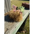 SoFire (red) Onion Plant Bundle | Easy-To-Grow | 50 Plants - Walmart.com