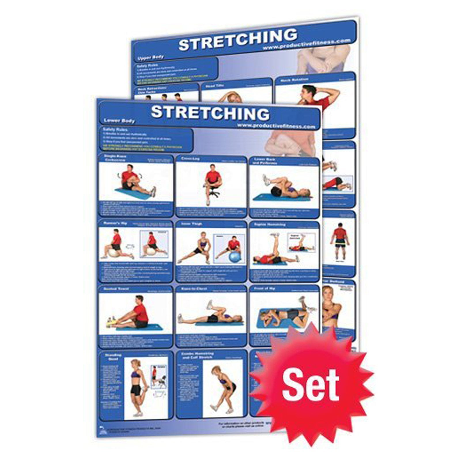 Productive Fitness Poster Series Upper Lower Body Stretching Exercises ...