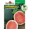 Burpee Bodacious Hybrid Tomato Vegetable Seed, 1-Pack - Walmart.com