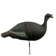 Flextone Thunder Creeper (Strutter) Turkey Decoy - Walmart.com