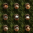 Forest Animal Acorn Ornaments for Christmas Tree Hanging, Cozy Woodland ...