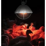 Champion Electronics 10" Aluminum Clamp Light - 300 Watt Max - Halogen ...