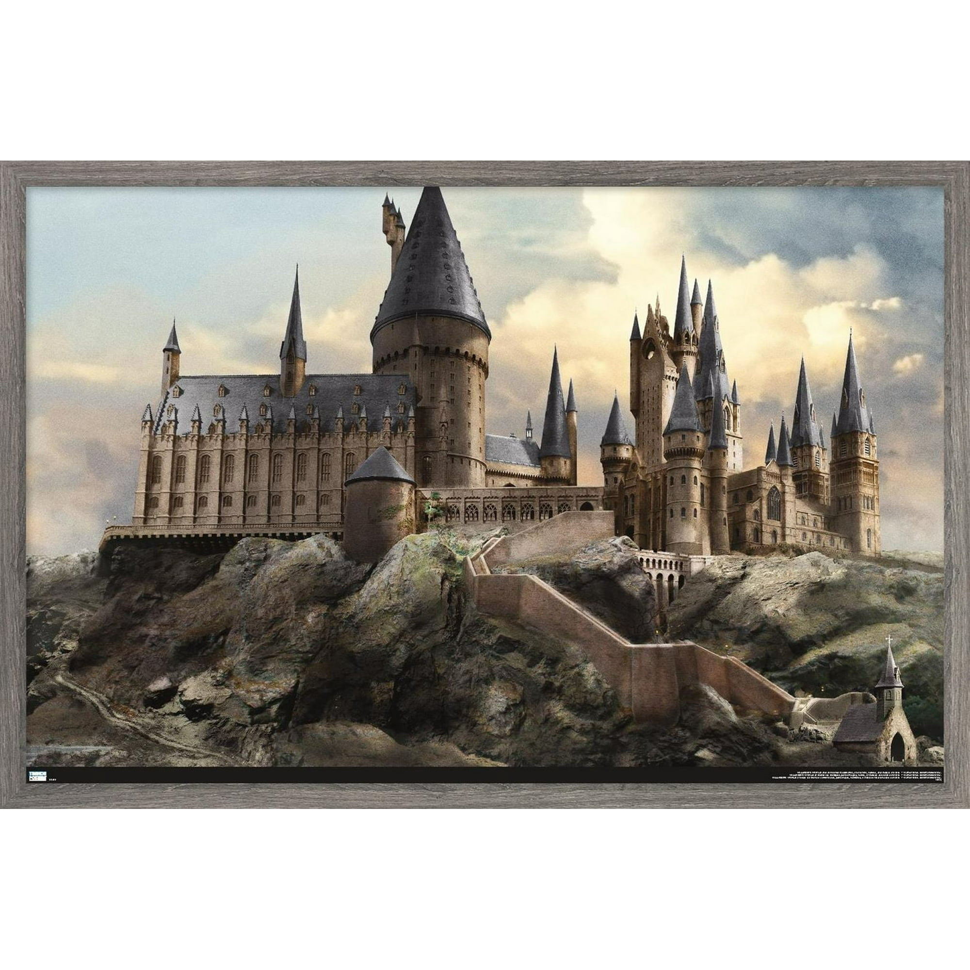Click here for Trends International The Wizarding World: Harry Po... prices