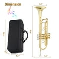 Professional Bb Trumpet for Beginners and Students – Gold Lacquer Brass ...