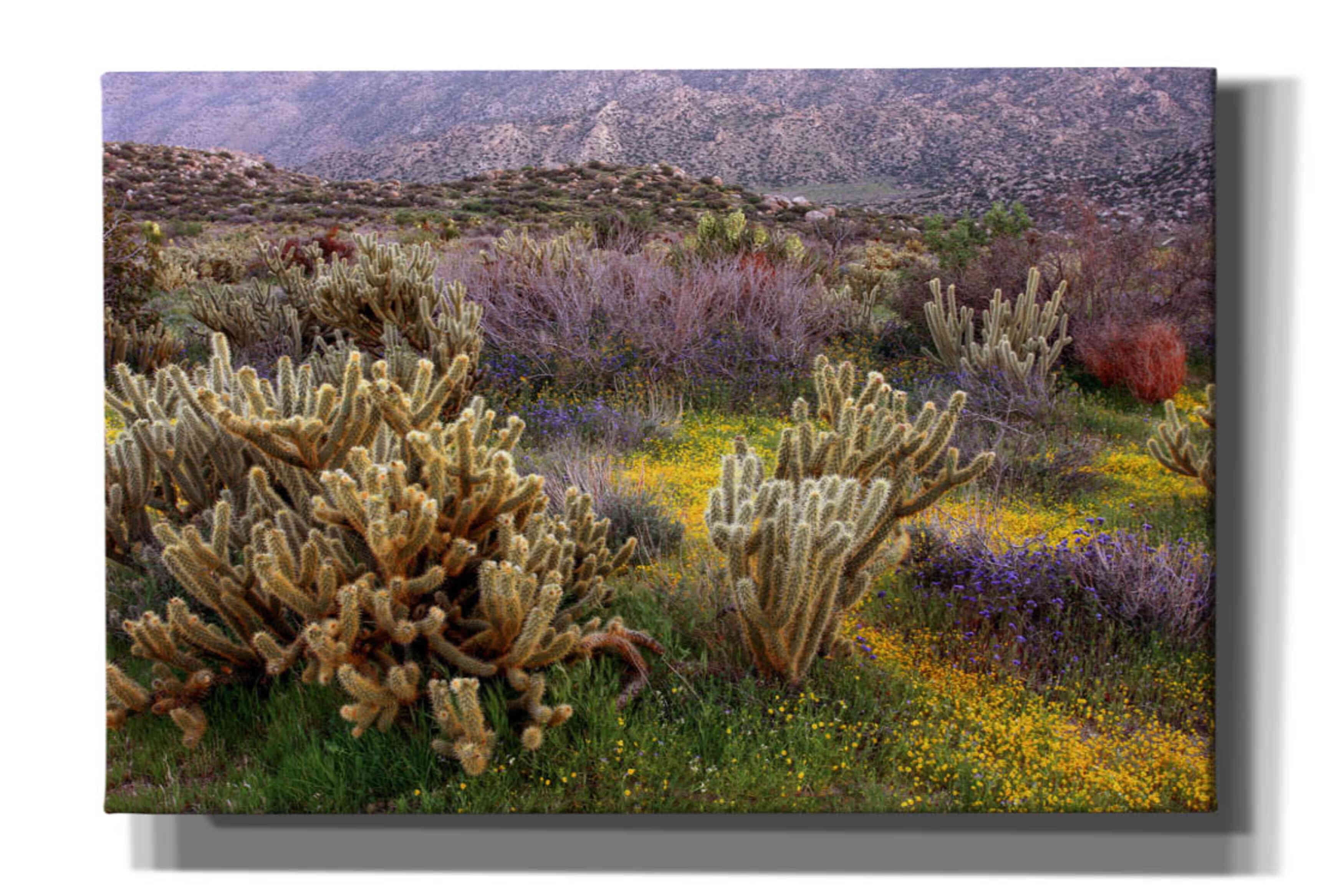 Epic Graffiti 'Desert Cactus and Wildflowers' by John Gavrilis, Giclee ...