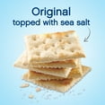 Premium Saltine Crackers 24 oz, Family Size, Classic Square Snack with ...