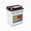 EverStart Premium AGM PowerSport Battery, Group Size TX14AH 12 Volt ...