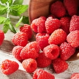Fresh Produce Fresh Raspberries, 12 oz Container Juicy, Nutrient-Rich ...