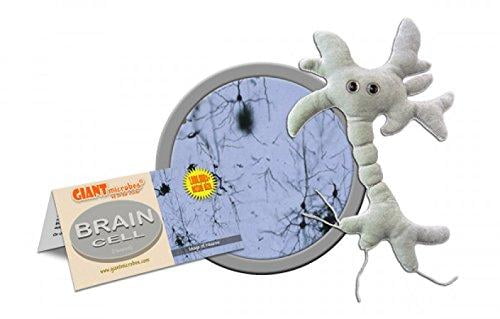 Giant Microbes Brain Cell (Neuron) Plush Toy | Walmart Canada