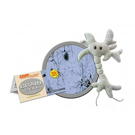 Giant Microbes Brain Cell (Neuron) Plush Toy | Walmart Canada