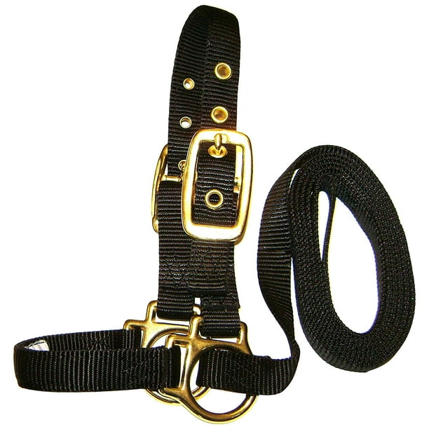 Hamilton Halter Livestock Sheep With Lead Adjustable Chin Strap Thick ...