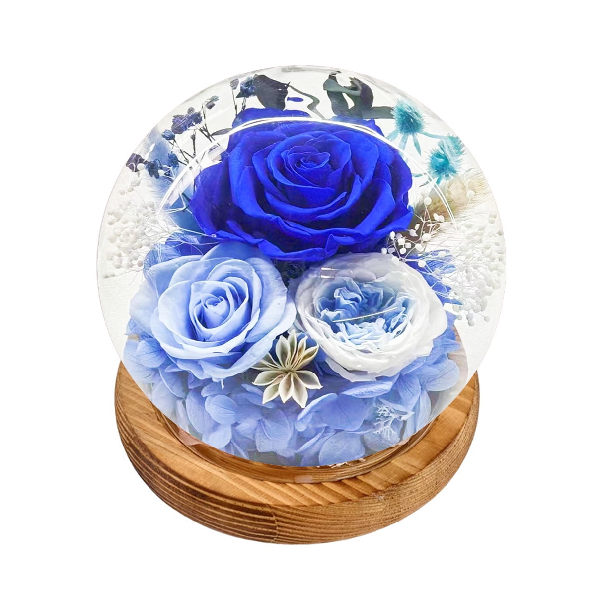 Click here for Dutchman Forever Preserved Flowers In Glass Dome W... prices