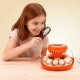 12 Egg Incubator with Automatic Egg Turner, LED Candler, Temperature ...