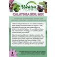 Calathea Growing Soil Mix 10 Quarts - Custom Soil Blend Potting Mix for ...