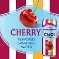 Sanpellegrino CIAO Cherry Sparkling Flavored Water with Real Fruit Juices, 24-Pack - Walmart.com