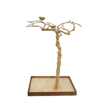 Prevue Pet Products Coffeawood Java Tree Large Floor Playstand Style #2 ...