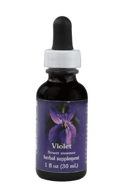 Violet Flower Essence Recipe | Best Flower Site