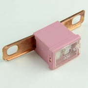 30 Amp Automotive Fuses
