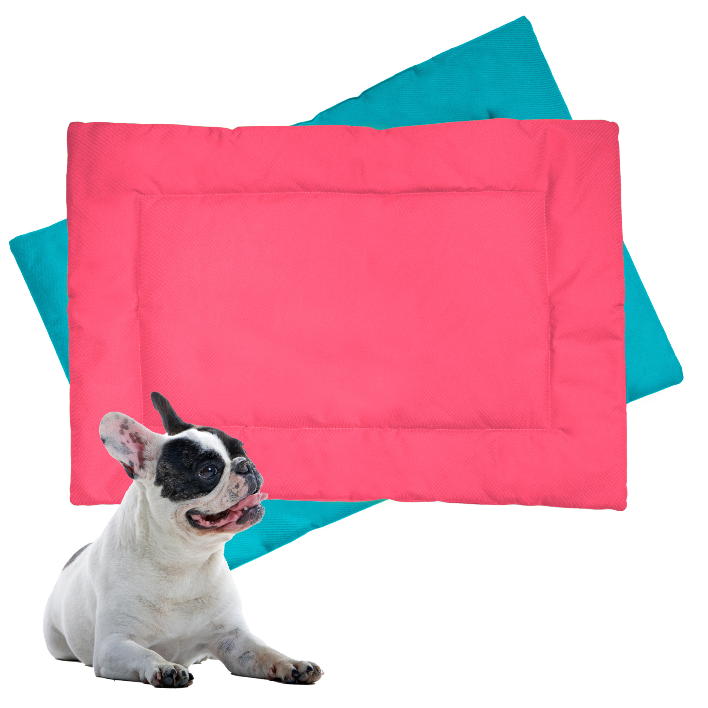 Downtown Pet Supply Dog Crate Mat, Waterproof Pet Bed, Blue/Periwinkle ...