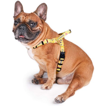 iChoue Dog Harness Easy On and Off Adjustable Harness Lightweight ...
