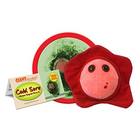 GIANTmicrobes Cold Sore (Herpes simplex Virus-1) Plush Toy | Walmart Canada