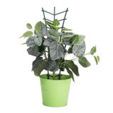 Flower Stands Vine Frame Climbing Frames Support Diy Garden Plant Pot ...