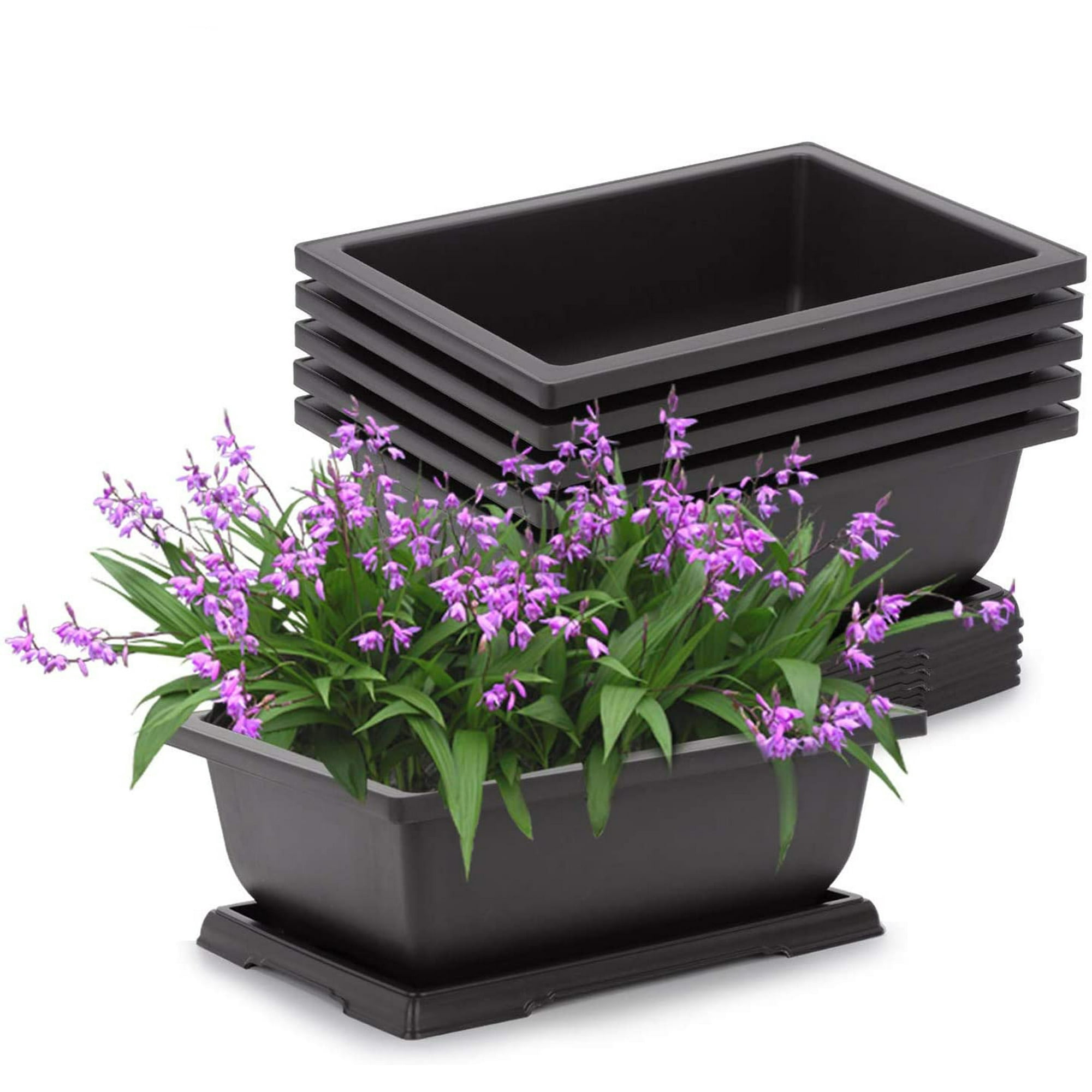 Click here for Luniquz 6 Packs 11 Inches Bonsai Training Pots  Pl... prices