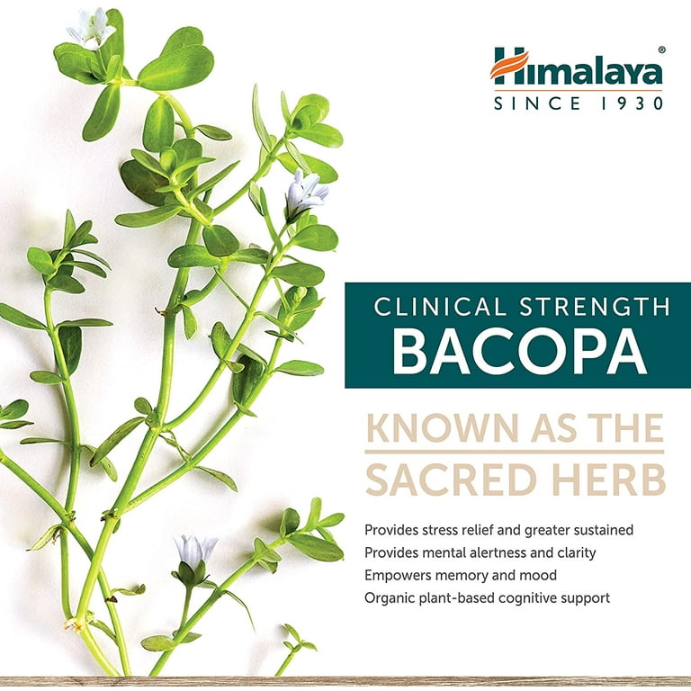 Bacopa Monnieri Brahmi