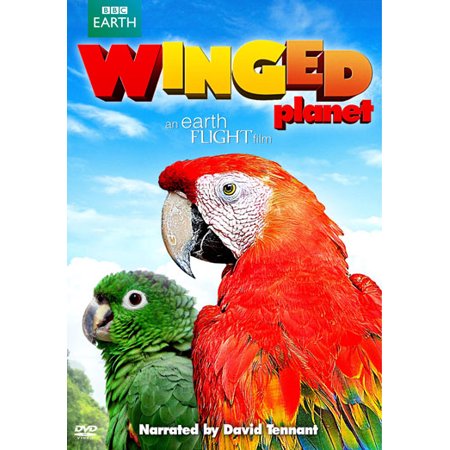 STUDIO DISTRIBUTION SERVI WINGED PLANET (DVD) DE468473D | Walmart Canada