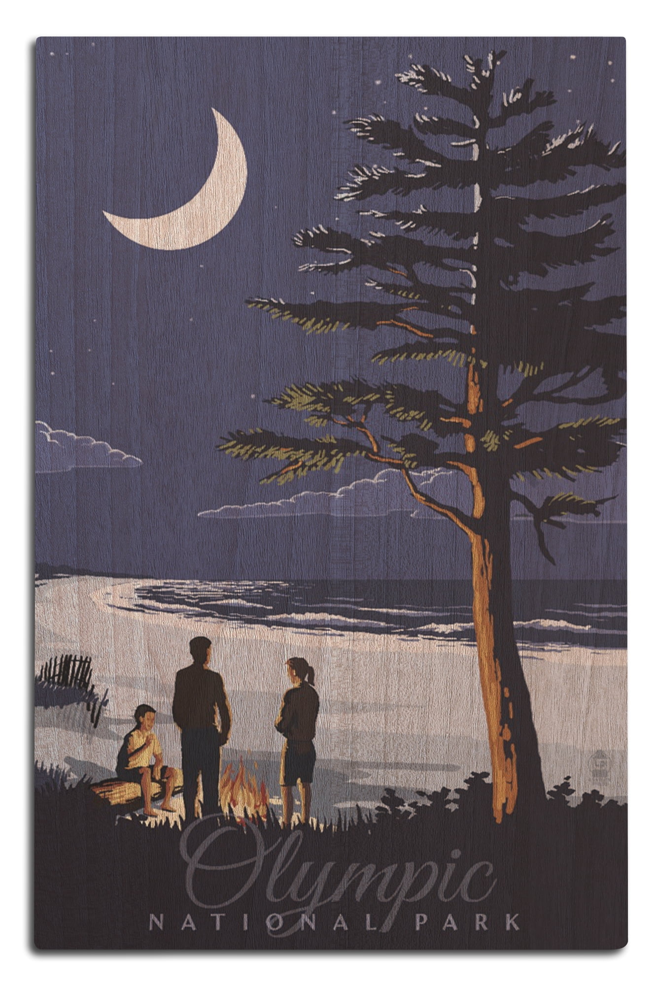 Olympic National Park, Washington, Bonfire at Night Scene Birch Wood ...
