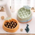 ACDANC 2026 New 2Pcs Cat Food Bowl Maze-Like Design Cat Bowls Slow ...
