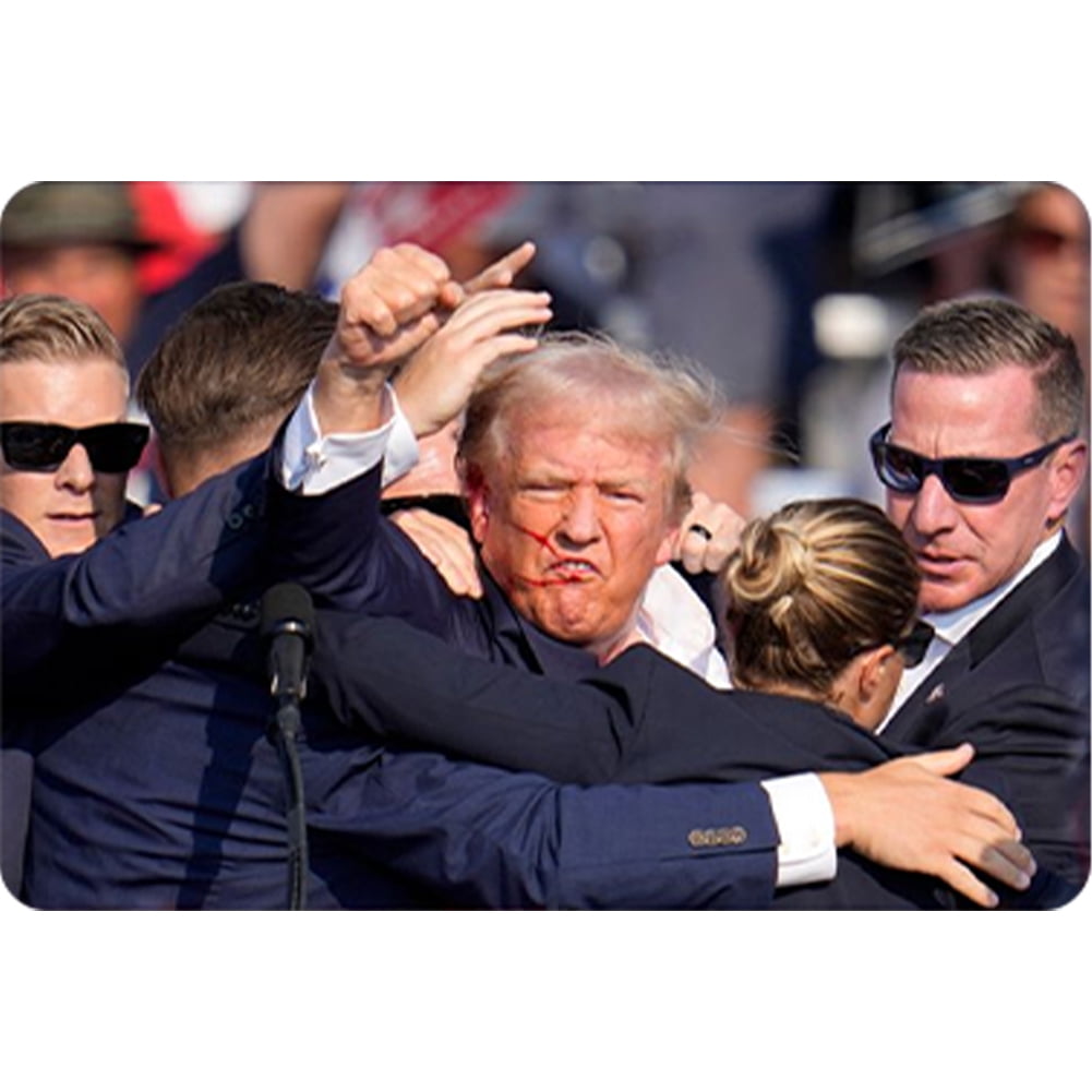 Chapa Metal Vintage Donald Trump Pintura Hierro Rectangular Artística ...