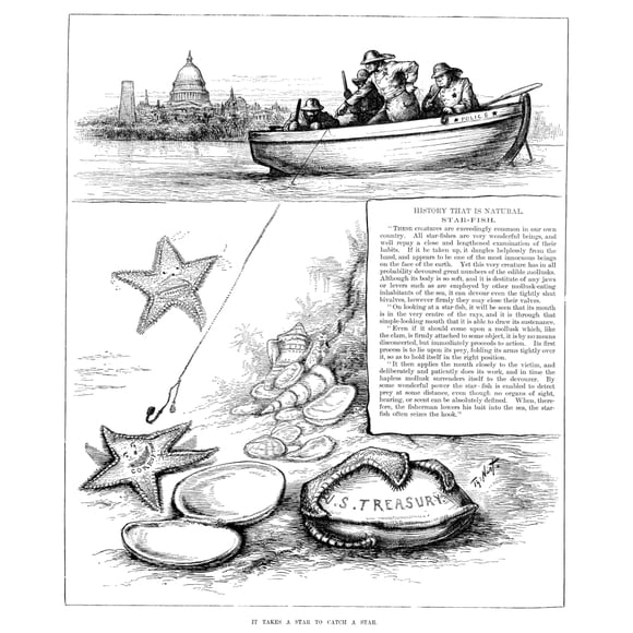 star from afar | Walmart Canada