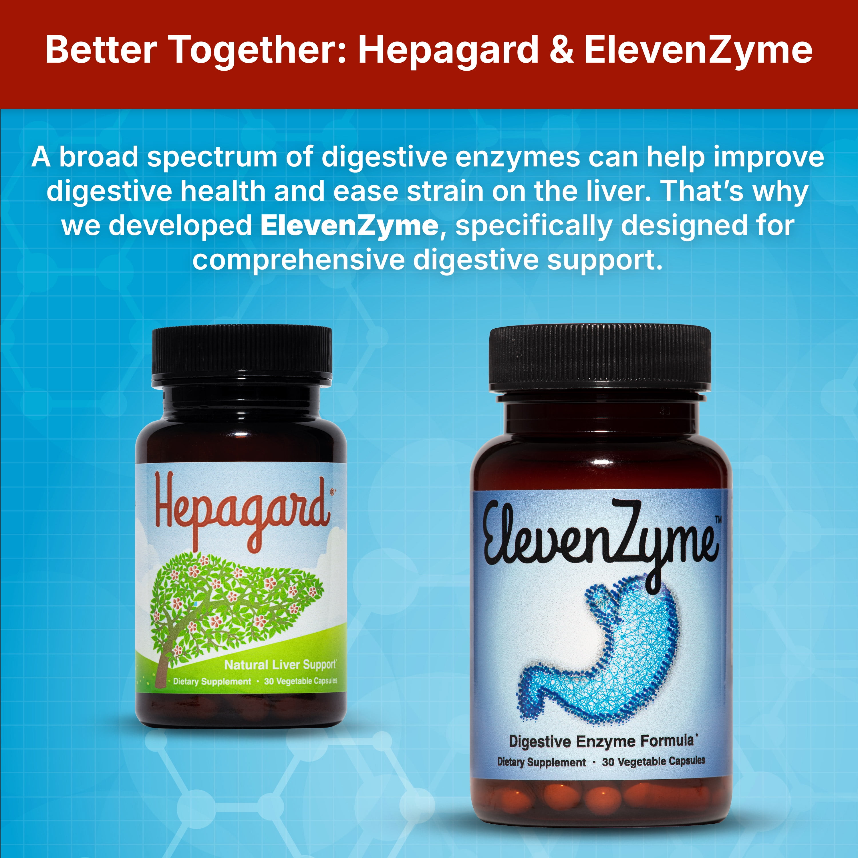Hepagard - Natural Liver Support Supplement - Australia | Ubuy