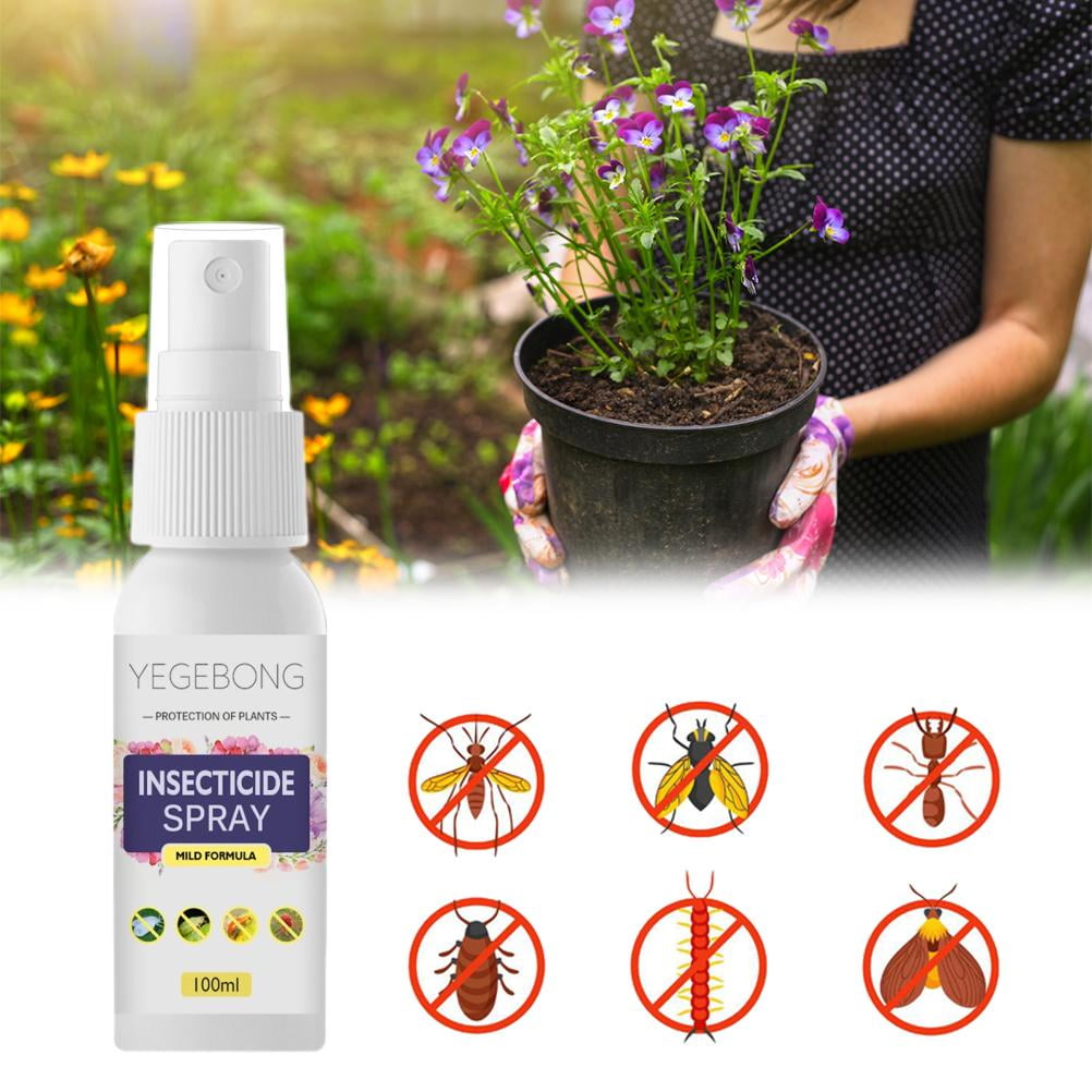 Flor Planta Insecto Spray Planta En Maceta Insecto Araña Spray | Bodega ...