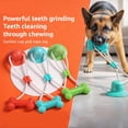 Suction Cup Dog Tug Rope Toy Bone Shape Durable Chew Molar Stick Self ...