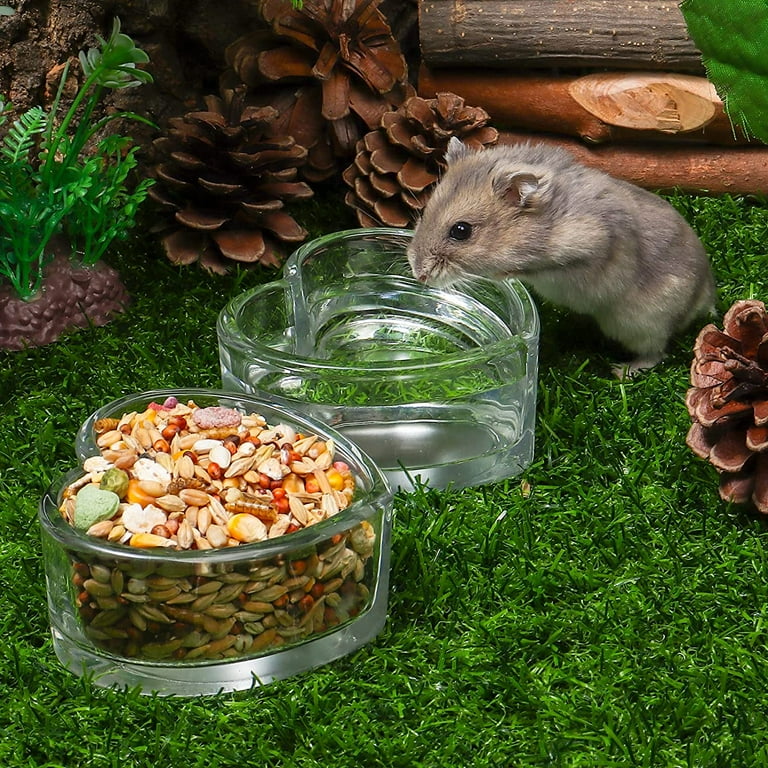 Hamster Food Bowl