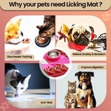 Zilly Slow Feeder Dog Lick Mat Food Grade Silicone with Bowl Spatula ...