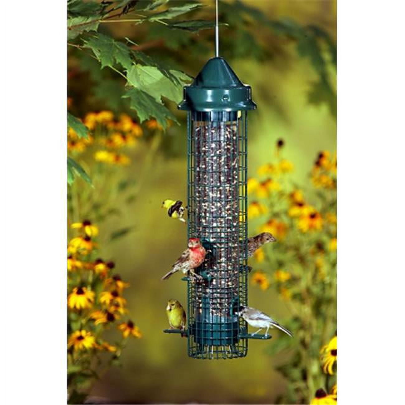 Click here for Brome Bird Care Bd1015 Squirrel Buster Classic prices