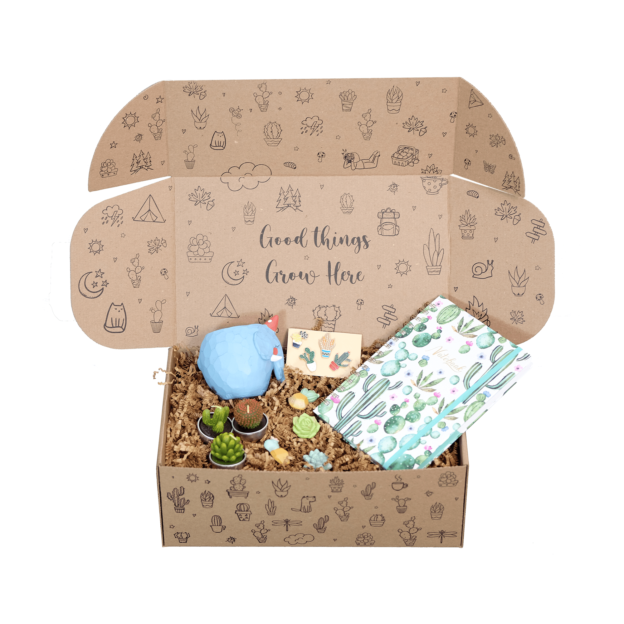 Succulent and Cactus Themed Gift Bundle - Plants Lovers Gifting Ideas ...