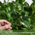 6pcs Leaf Shape Acrylic Plant Growth Fixator Reusable Plant Retaining ...