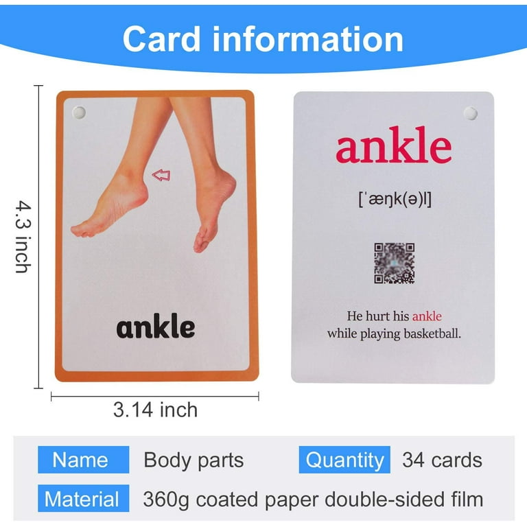 Body Parts Flashcards For Kids